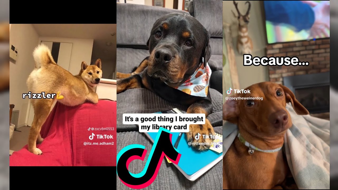 😏W RiZZ TiKTOk MOmENtS COMPILATION #5 - YouTube