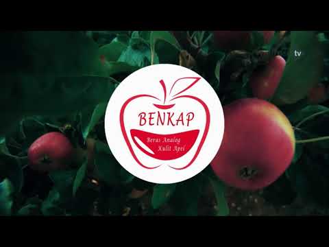 PKM-M UNIVERSITAS BRAWIJAYA 2020 | BERAS ANALOG KULIT APEL (BENKAP ...
