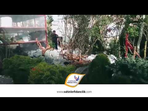 Fidan ve Peyzaj Adına Ne Varsa Burada!