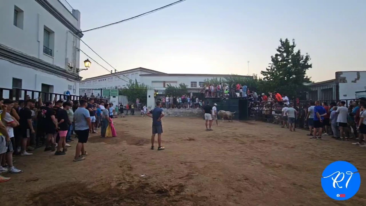 Montehermoso Vaca y Toro 25/08/25 - YouTube