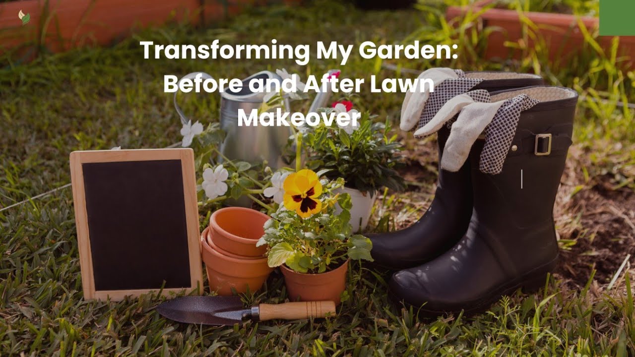 Transforming My Garden: Before and After Lawn Makeover - YouTube