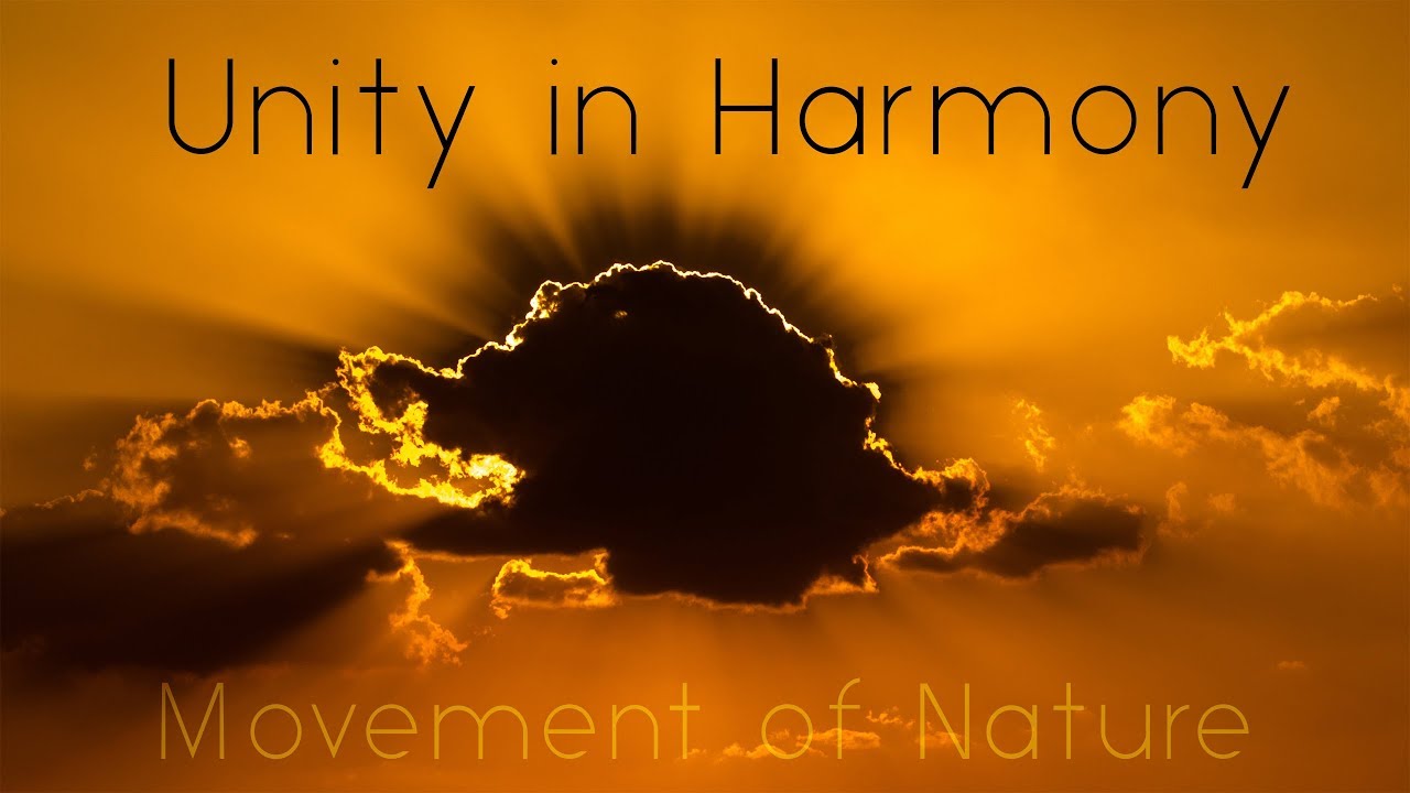 Unity in Harmony - Movement of Nature - YouTube