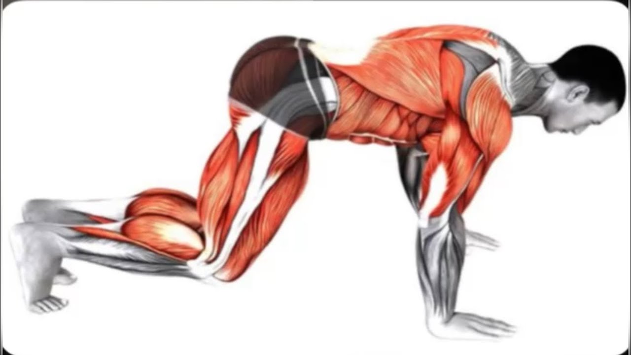 Mike Tyson Push Ups For Beginners: Build Shredded Core & Abs {Quick ...