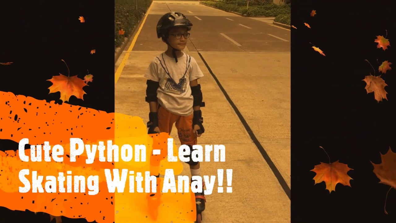 Cute Python Beginner - Intro Learn Skate With Anay Gupta - YouTube