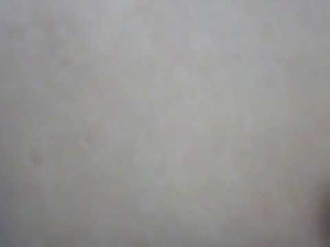 Memek gede tante sbelah rumah - YouTube