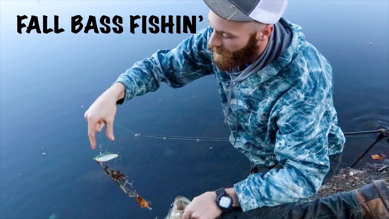 URBAN POND’ Fishing Lipless Cranks (Chico,California) - YouTube