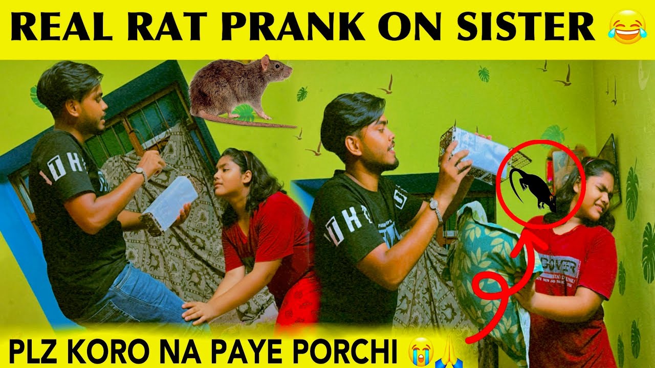 REAL RAT PRANK ON SISTER 😱||বোনের গায়ে ইঁদুর ছেড়ে দিলাম 😂||Must watch ...