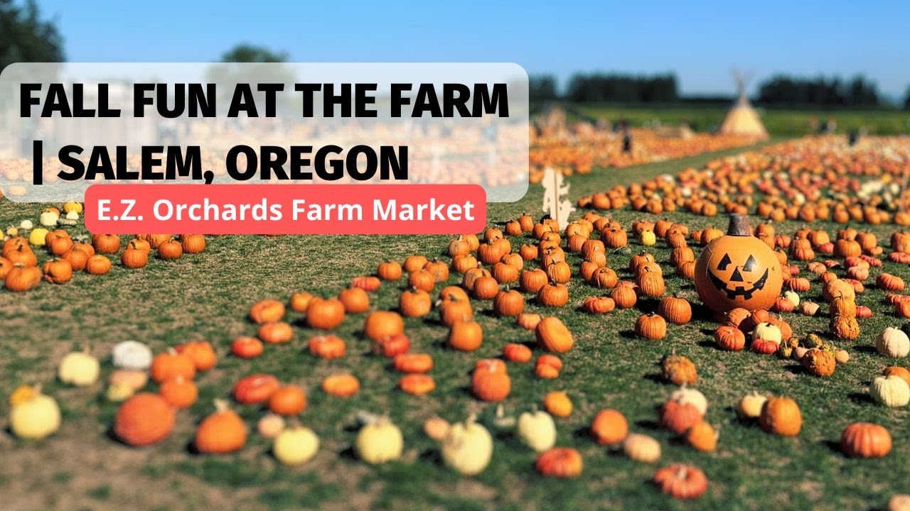Fall Fun at the Farm: Pumpkin Patch, Corn Maze, & More! | Salem, Oregon ...