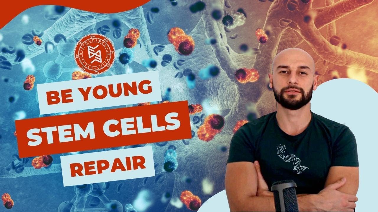 Increase Your NATURAL STEM CELLS Production - YouTube