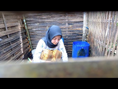 Neng Aullya ...!! Gadis Desa Turki Jampang Turunan Kidul, Cantik ...