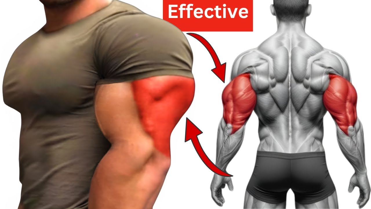 Best 6 Triceps Workout At Gym - YouTube