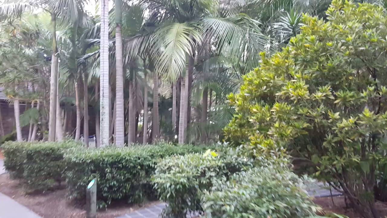 Coffs Harbour Anuka Resort - YouTube