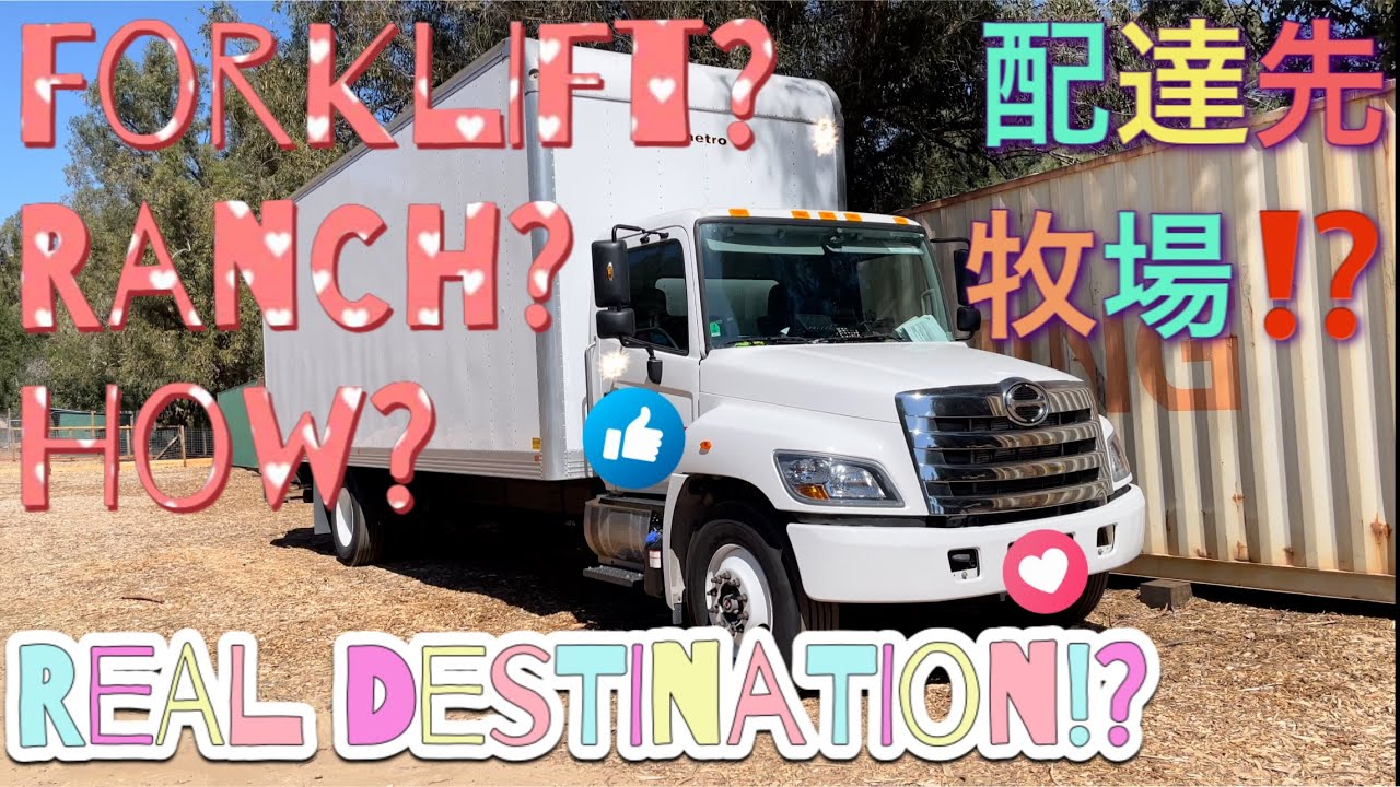 5-Ton Bobtail First Country Side Destination Truck Driver - YouTube