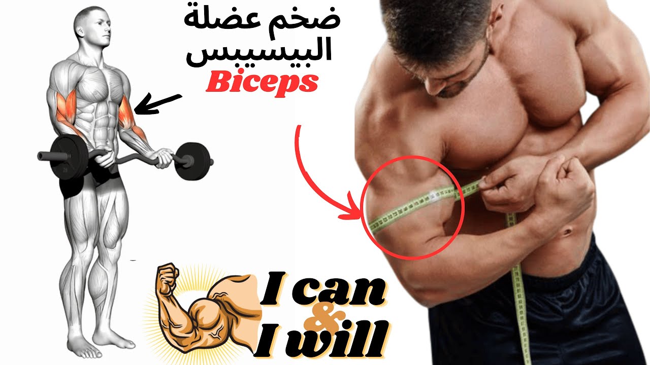 Best exercises to blow up the biceps - (biceps)افضل التمارين لتضخيم ...