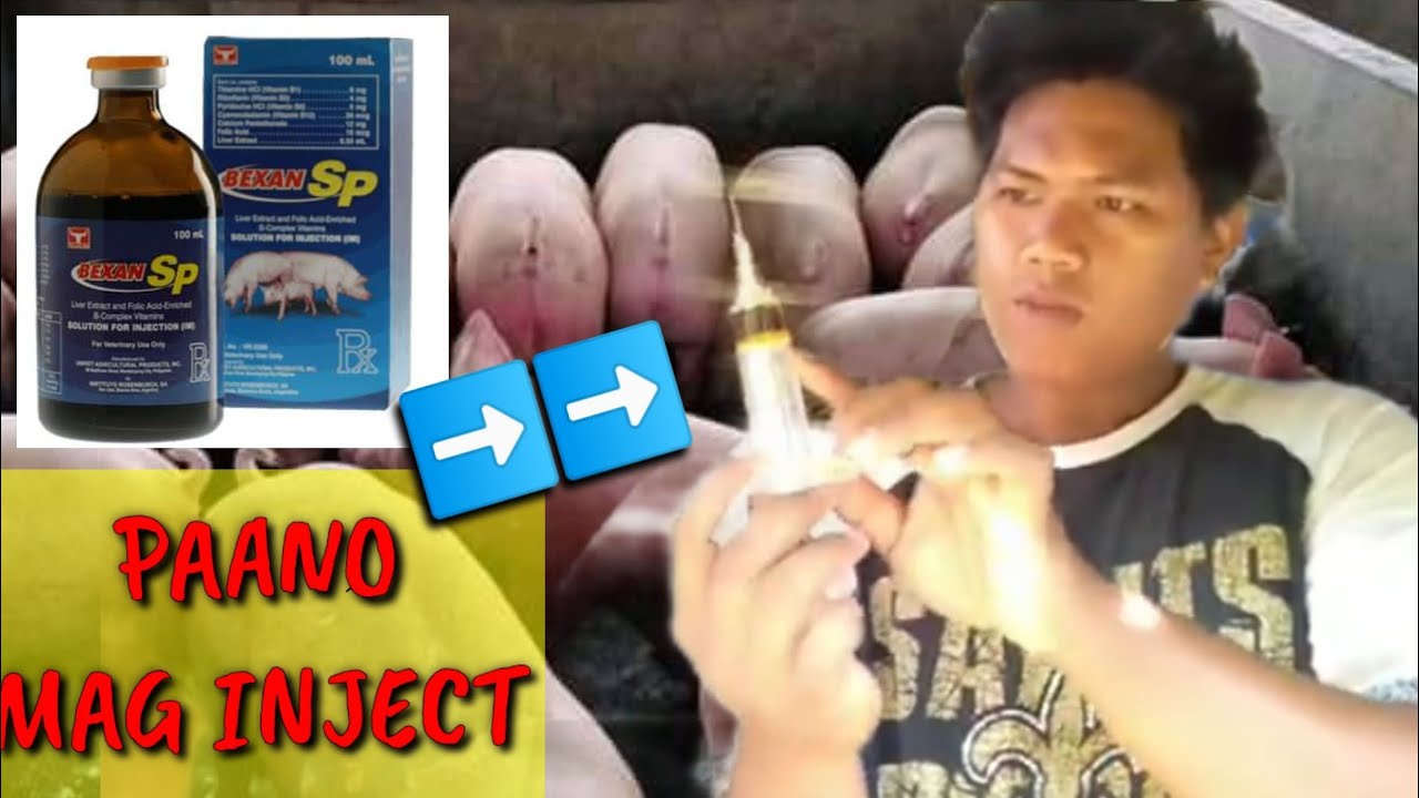 PAANO MAG INJECT SA INAHING BABOY/MADALING PAG INJECT SA GAGAWING ...