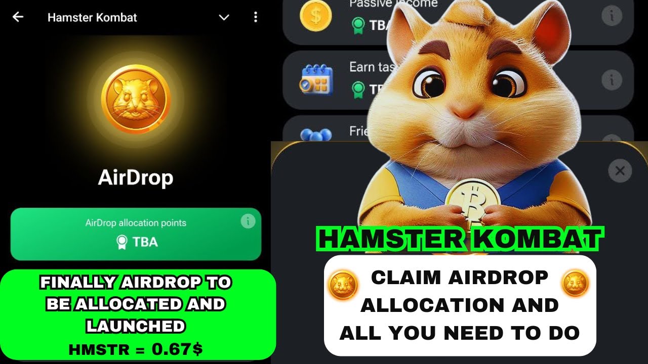 HAMSTER KOMBAT AIRDROP ALLOCATION: Airdrop $TOKEN LISTING ($HMSTR TOKEN ...
