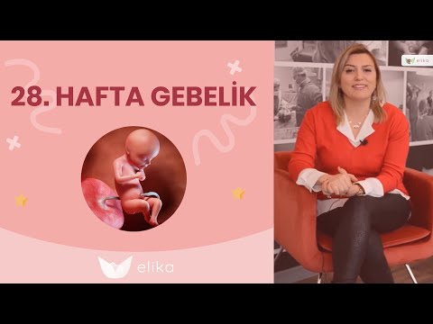 28 Hafta Gebelik - Gebelik Süreci - Elika Tv