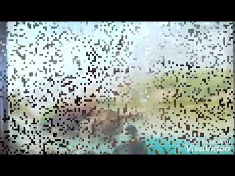 Baki Seher Musviq qesebesi Lider kafe