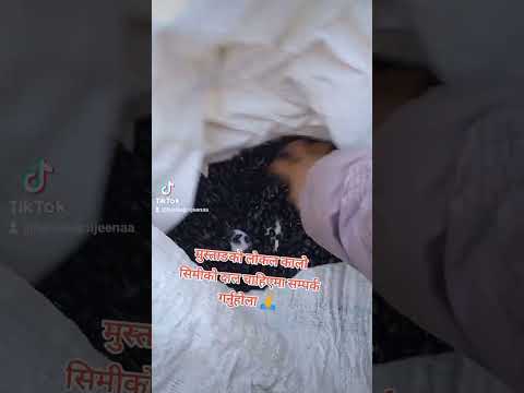 Mustang ko lokal simiko dal mitho 🥰 - YouTube