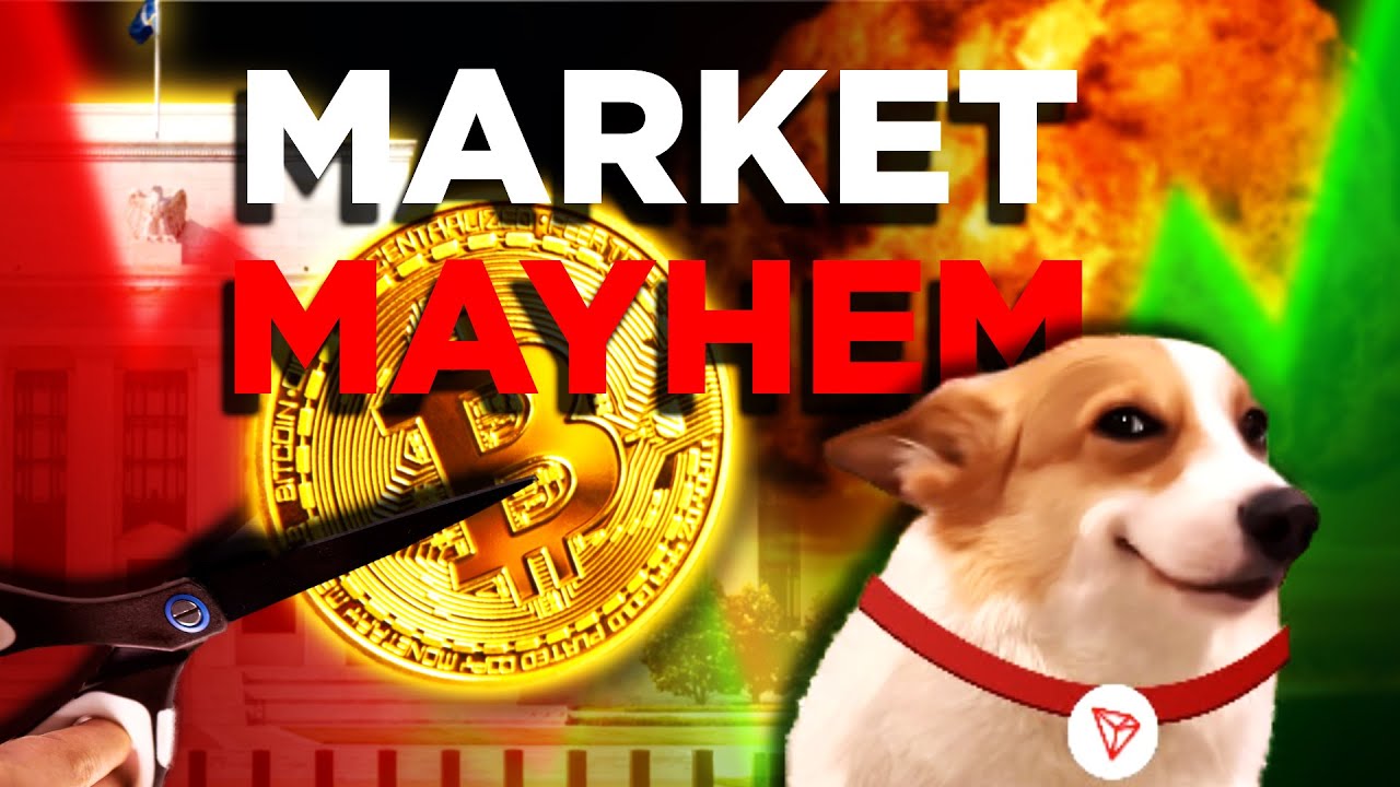 Rate Cuts and MEME coin EXPLOSIONS! - YouTube