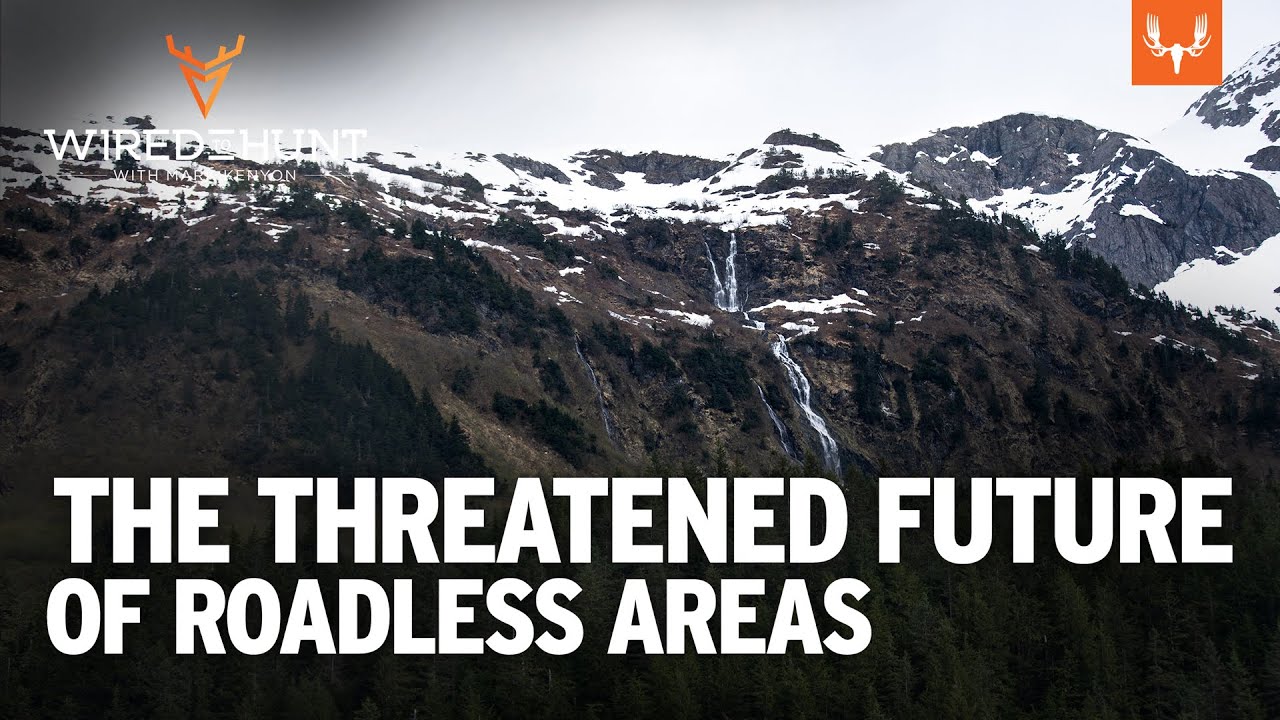The History and Threatened Future of Our Nation's Last Roadless Areas ...