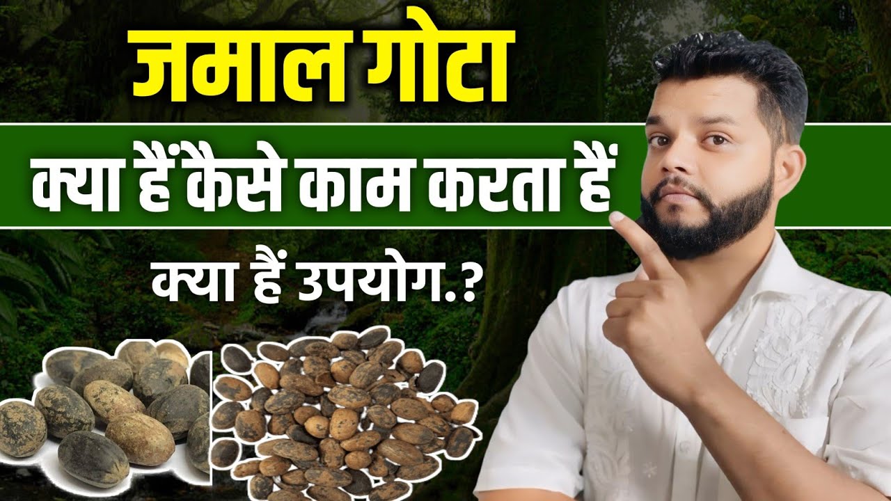 जमालगोटा कैसे काम करता है 🔥 Jamal Gota Uses, Precaution,Dose & Side ...