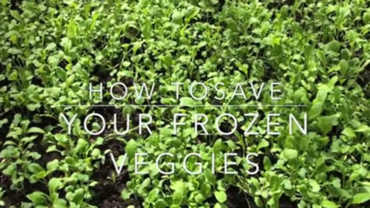 How To Save Your Frozen Garden! - YouTube