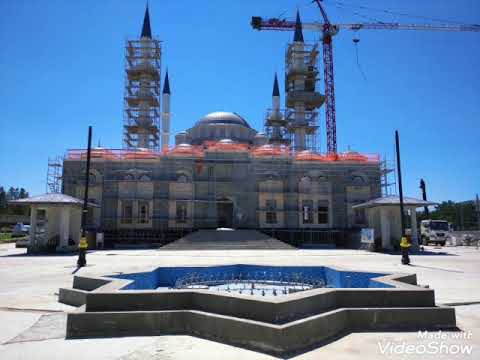 Qirim simfrofil no'vi machit