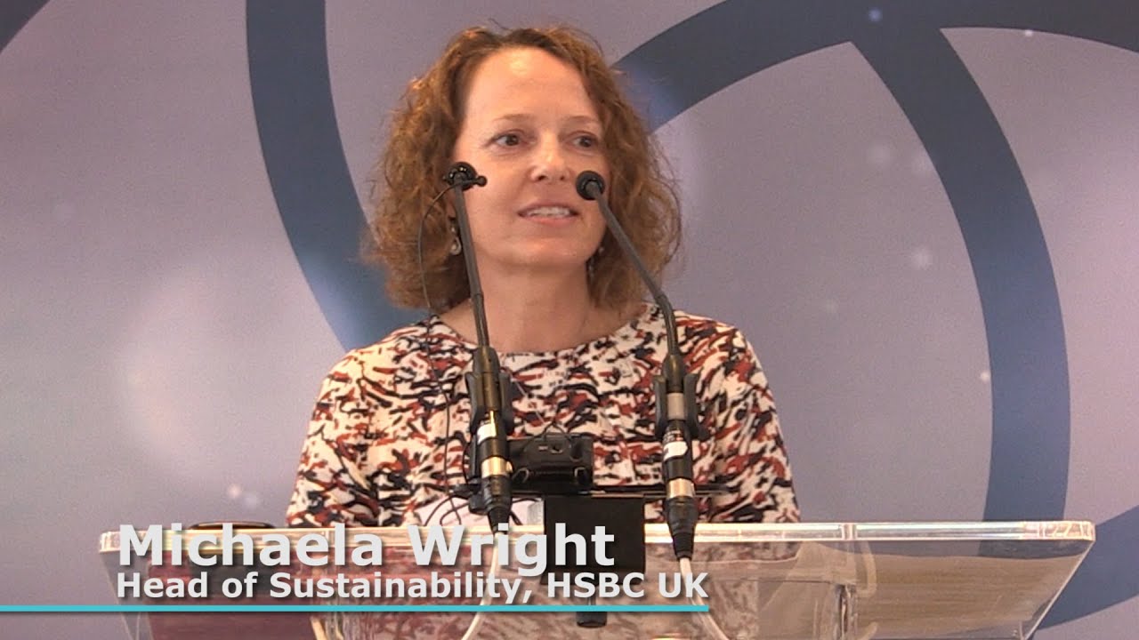 The Crowd: Michaela Wright on working towards zero-carbon cities - YouTube
