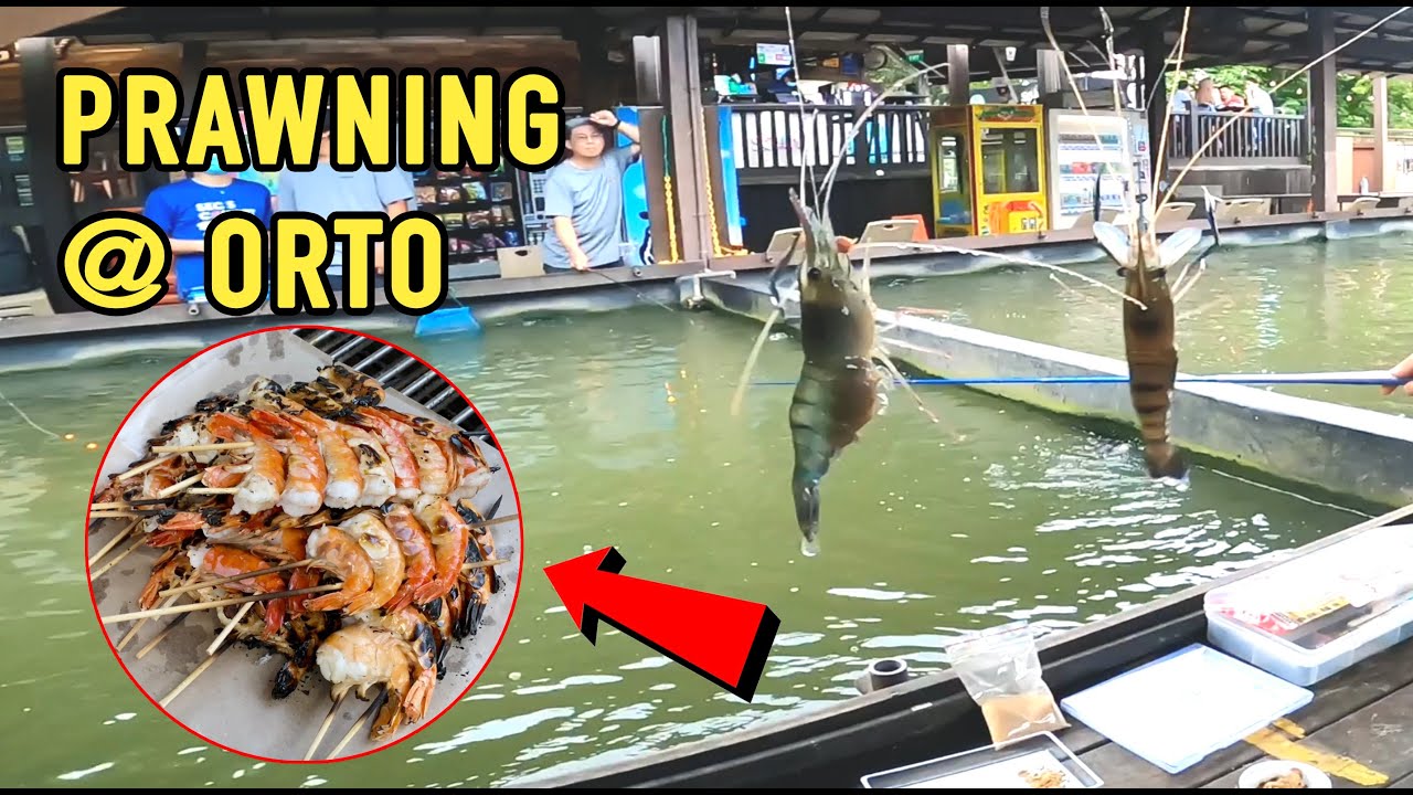 EXPERT LEVEL PRAWNING at Orto Yishun Singapore - YouTube