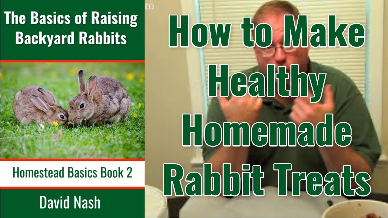 How To Make Homemade Rabbit Treats│Healthy Rabbit Snacks from Juicer ...