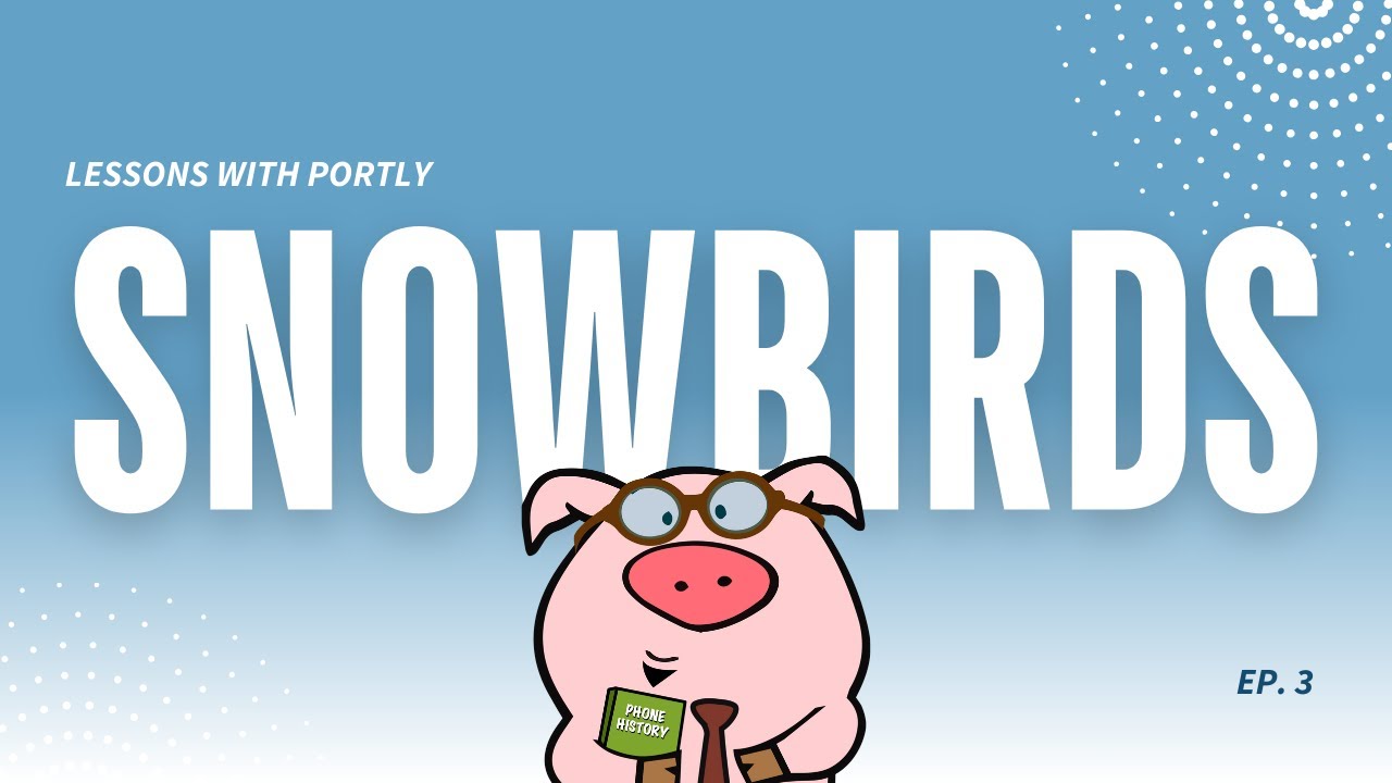 Flexible Phone Solutions To Give Your Snowbirding A Softer Landing ...