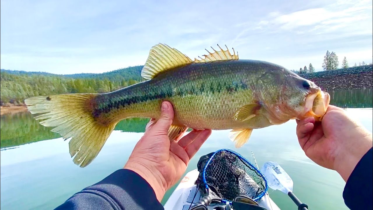 Catching Winter Bass In Northern California - YouTube