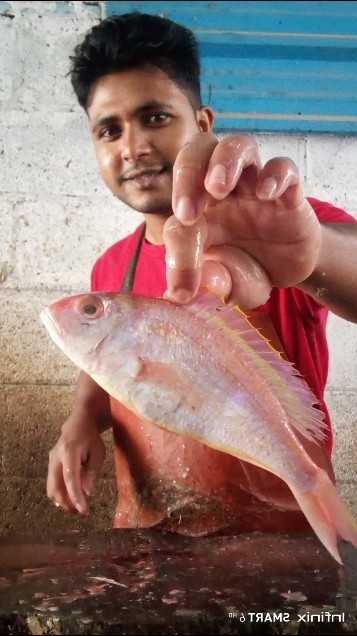 amazing Sankara fish cutting skills - YouTube