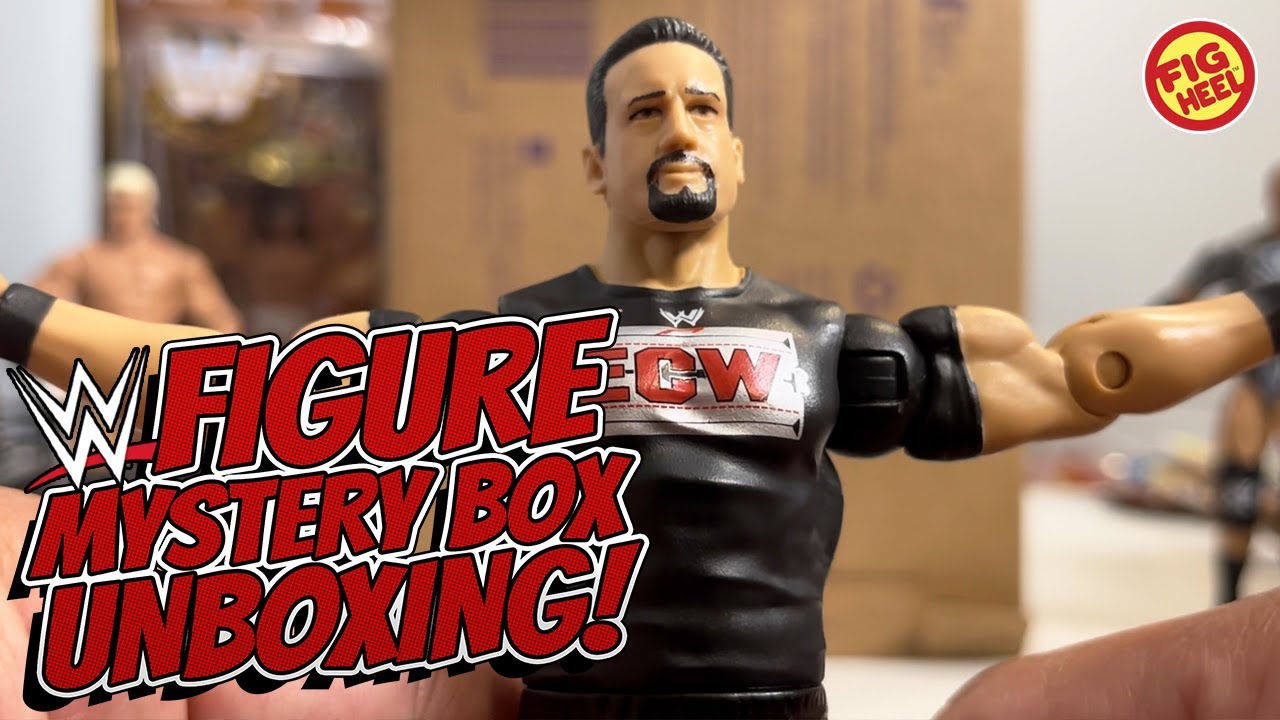 Unboxing A Mystery Box Of WWE Action Figures! - YouTube