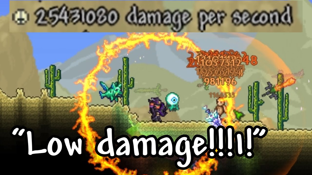 Terraria Damage Setups be like: - YouTube