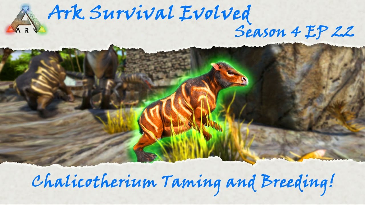 Ark Survival Evolved S4E22: Chalicotherium Taming and Breeding! - YouTube