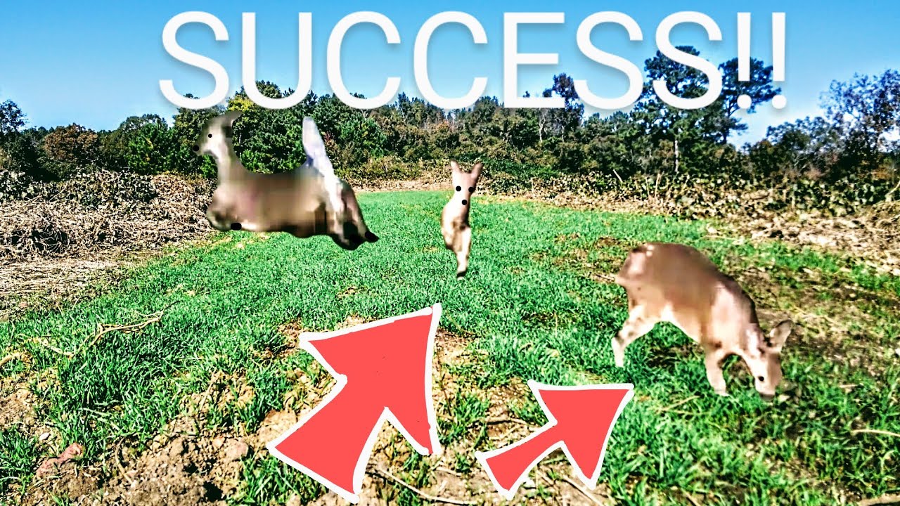 *KUDZU FIELD FOLLOWUP* DEER MEET ME FACE TO FACE!! PRE RUT PREP - YouTube