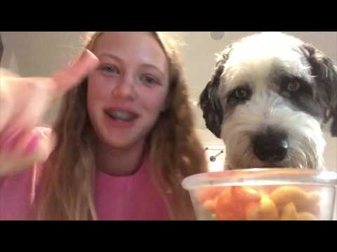 GOLDFISH PUPPY CHALLENGE (ft Always Alyssa)