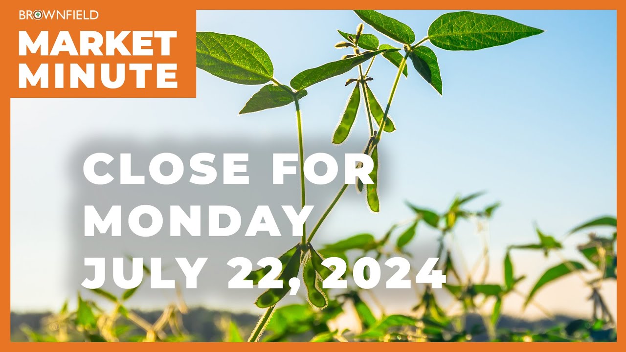Soybeans and corn closed solidly higher Monday | Closing Market Minute ...