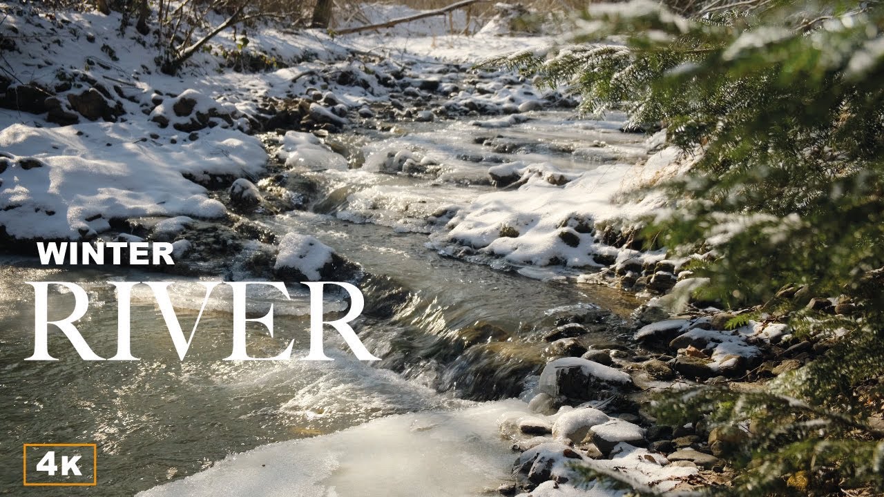 4K HDR Forest River flowing in Winter Morning - White Noise for Sleep ...