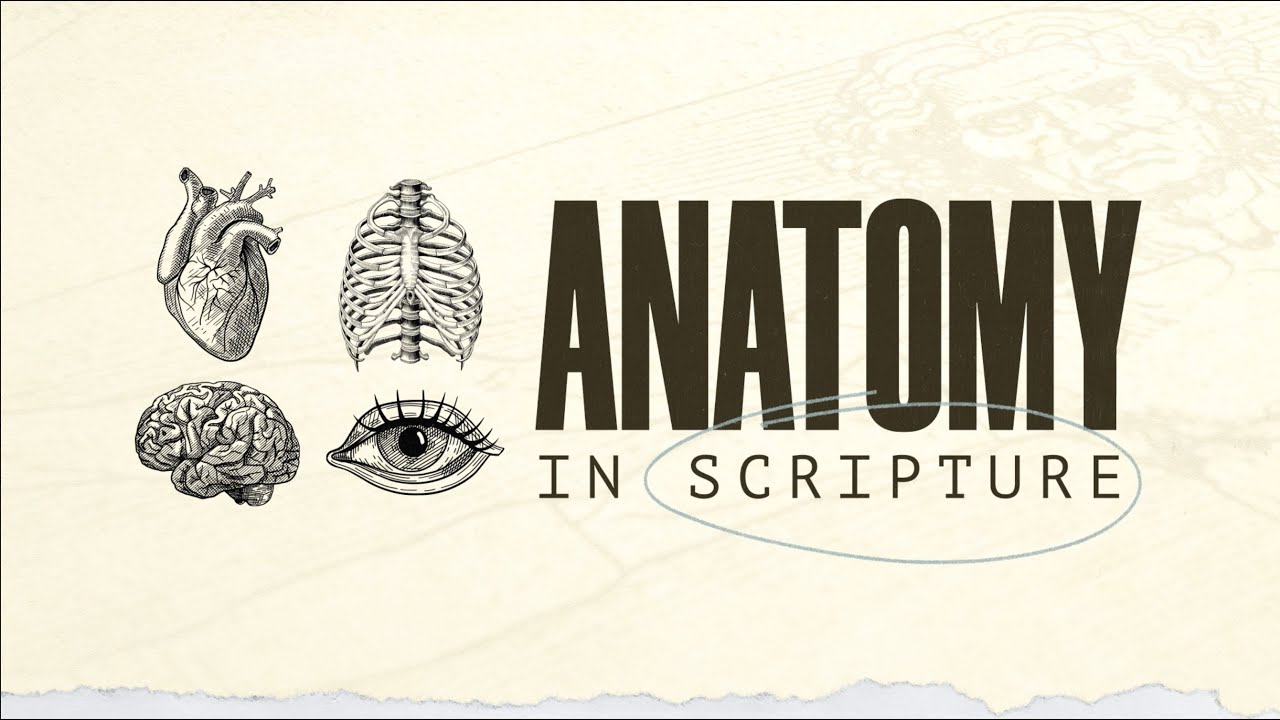 Anatomy In Scripture Week #2 - Dugan Sherbondy - YouTube