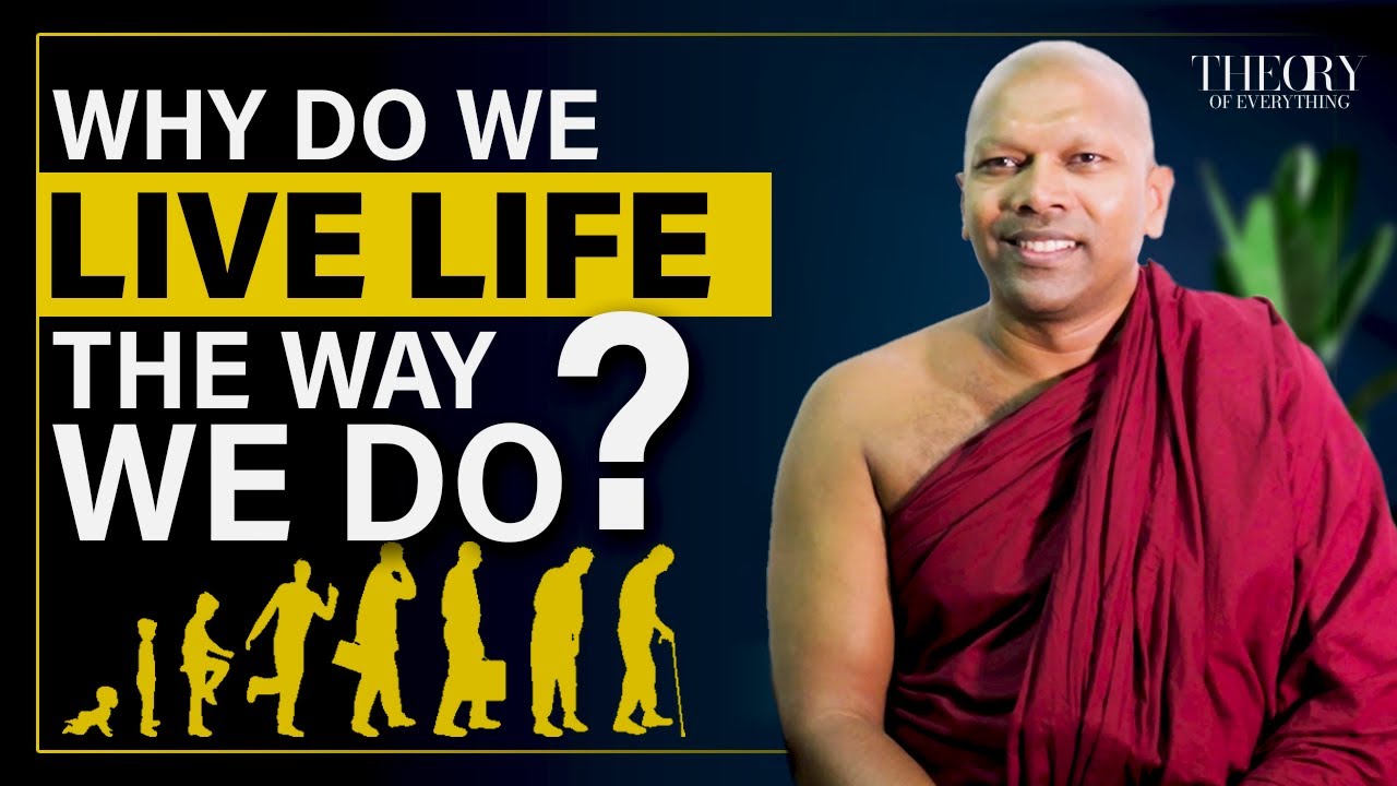Why do we live life the way we do? - YouTube