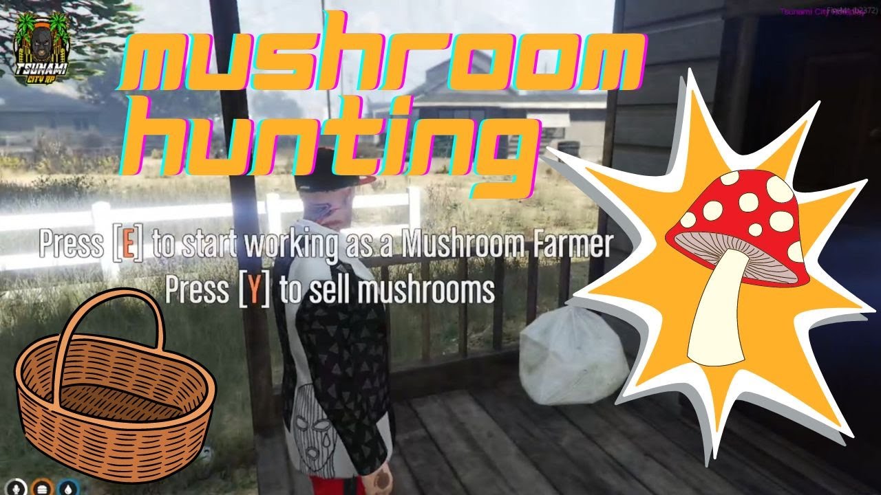 FiveM Mushroom Hunting - YouTube