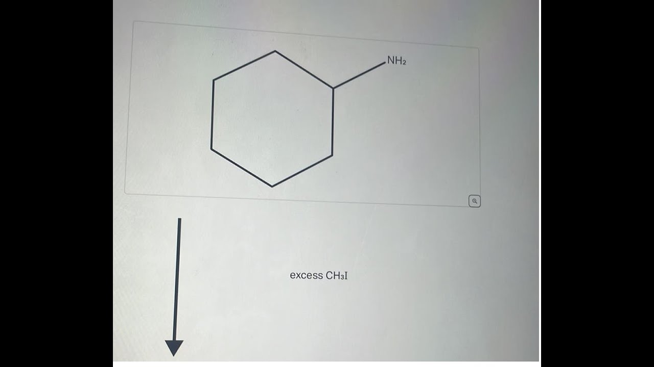 Chem Help: Draw the amjor product: An amine with excess methyl iodine ...