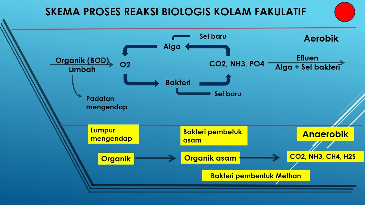 PENGOLAHAN AIR LIMBAH: KOLAM STABILISASI FAKULTATIF - YouTube