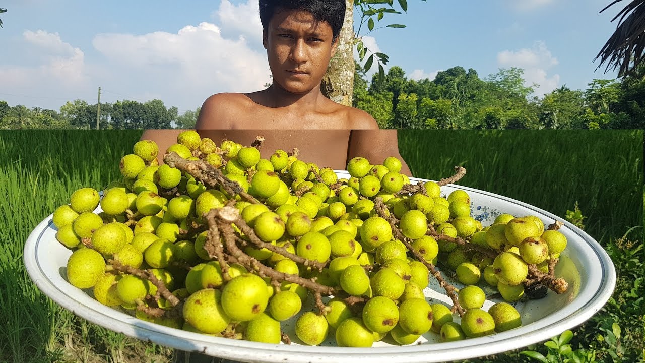 Cluster Fig & Eggs Fry (Dumur Vazi) | Very Rare Tasty Village Food ...