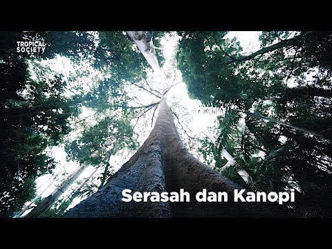 Landscape Filled with Wonder_250104 - YouTube