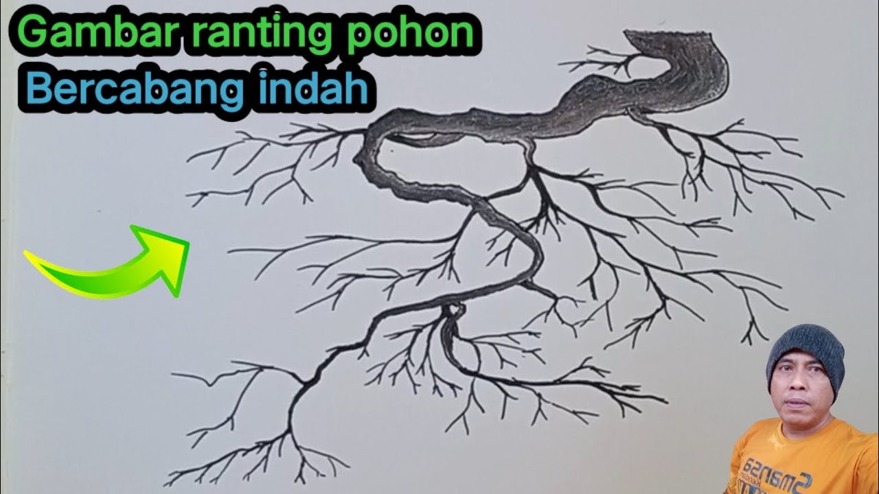 Cara menggambar ranting pohon bercabang yang indah - YouTube
