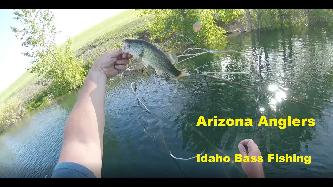 Arizona Anglers Go To Idaho Part 1| Bass Fishing at Condie - YouTube